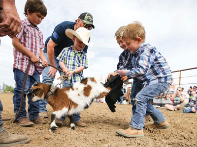 Upcoming Divide County Fair Filled With Fun For Everyone - City Shopper